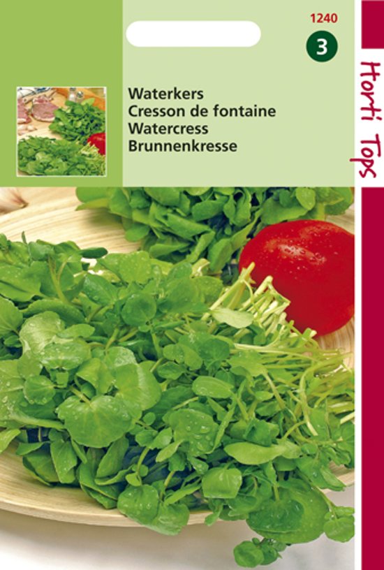 Hoe moet je waterkers kweken? (2025) | Zaadjes tot kiemplantjes kweken